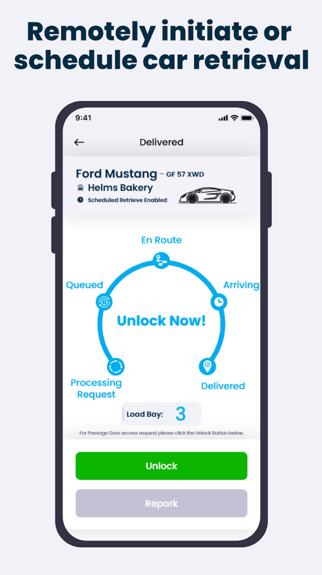 Mustafah's Portfolio